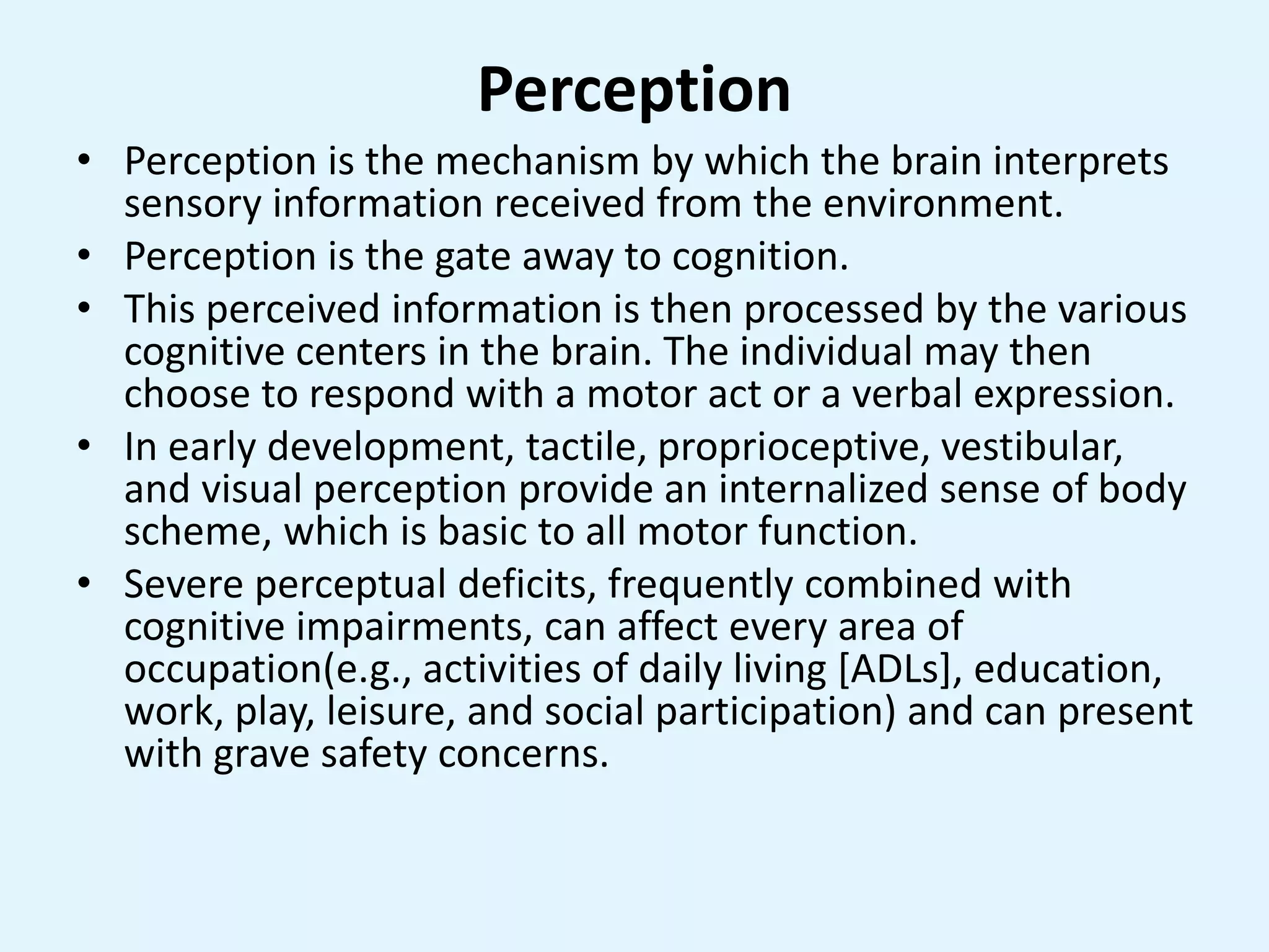 Perception | PDF