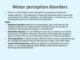 Perception | PDF