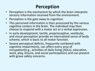 Perception | PDF