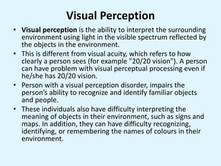 Perception | PDF