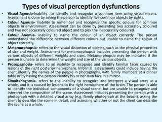 Perception | PDF