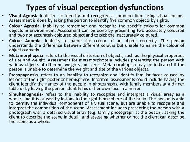 Perception | PPT