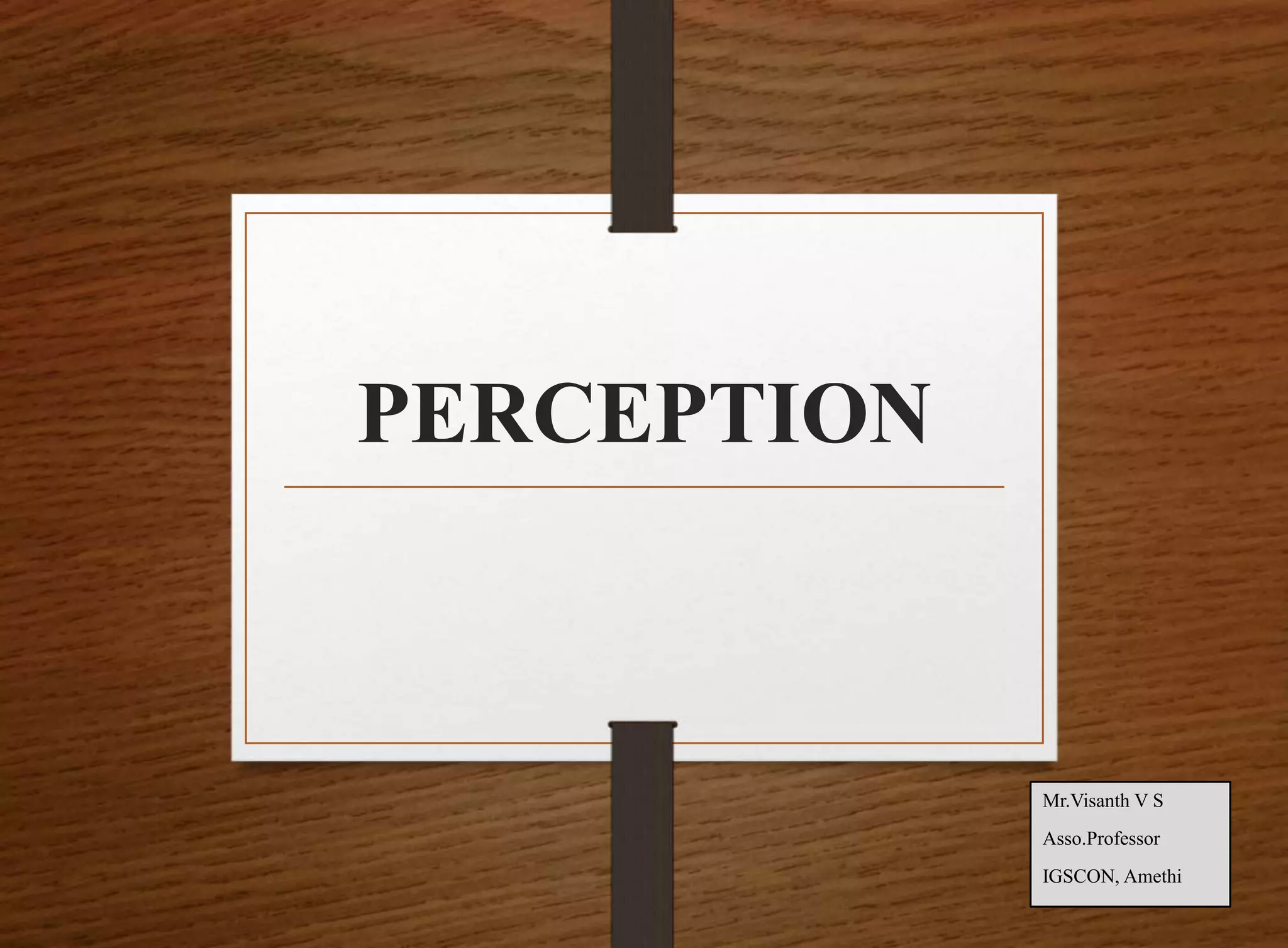 Perception- Psychology | PPTX