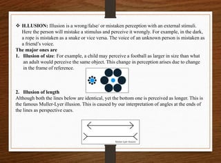 Perception- Psychology | PPTX