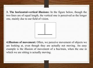 Perception- Psychology | PPTX