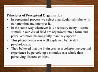 Perception- Psychology | PPTX