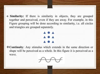 Perception- Psychology | PPTX