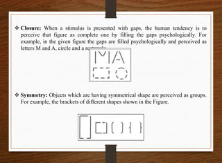 Perception- Psychology | PPTX