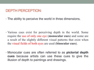 Perception | PPTX | 3-D Graphics | Computer Software and Applications
