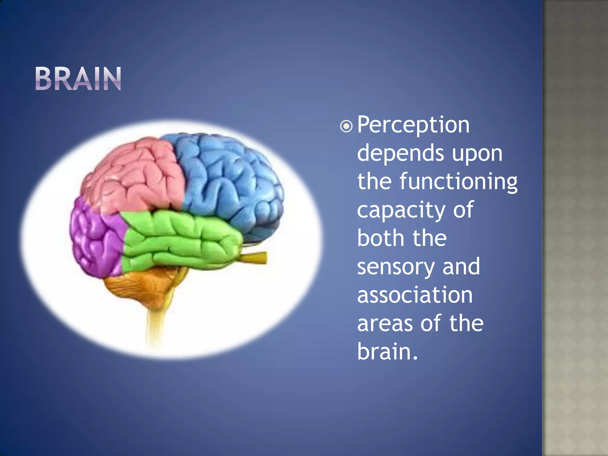 Unit 3 Cognitive Process / Perception | PDF
