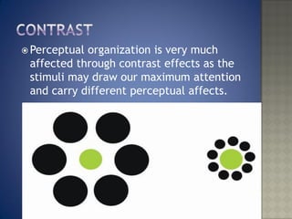 Unit 3 Cognitive Process / Perception | PDF