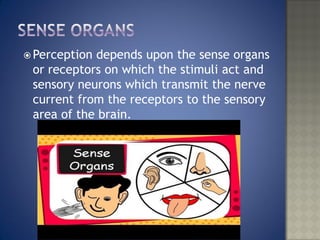 Unit 3 Cognitive Process / Perception | PDF