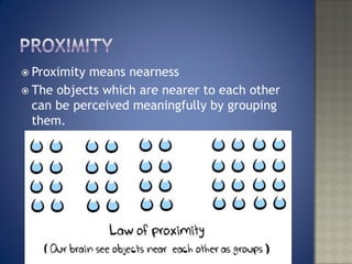 Unit 3 Cognitive Process / Perception | PDF