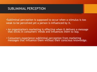 Perception | PPT