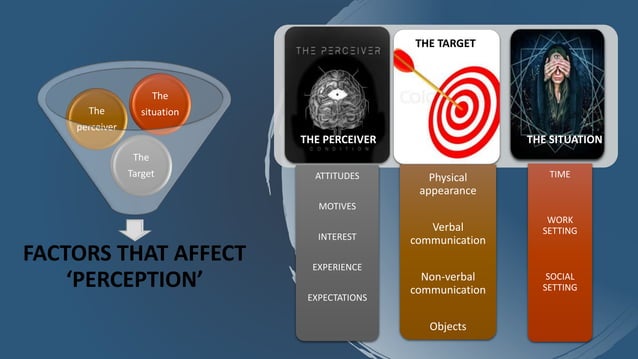PERCEPTION | PPTX | Science