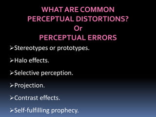 Perception | PDF