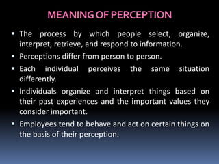 Perception | PDF