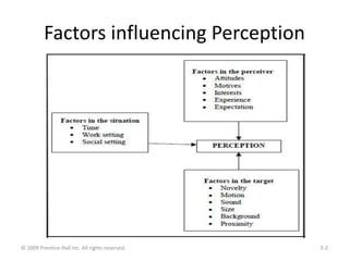 Perception.ppt | Free Download