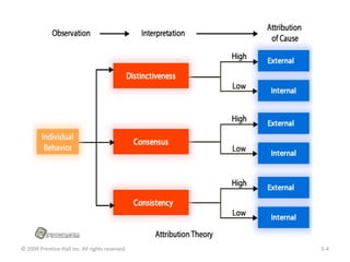 Perception.ppt | Free Download
