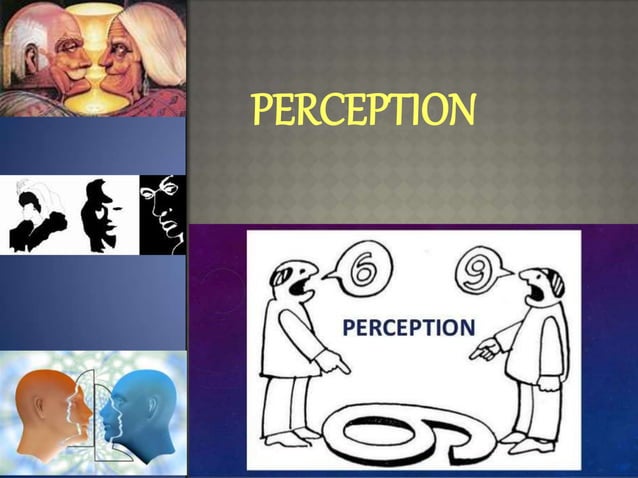 Perception.pptx