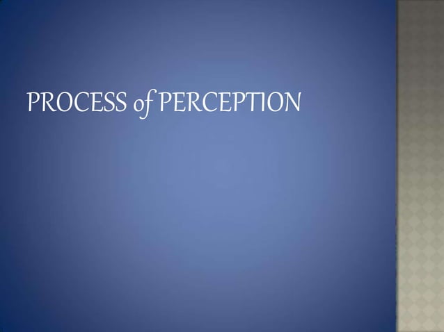 Perception.pptx