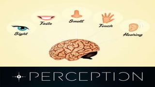 Perception.pptx