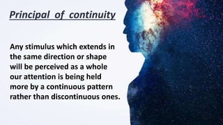 Perception.pptx