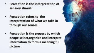 Perception.pptx