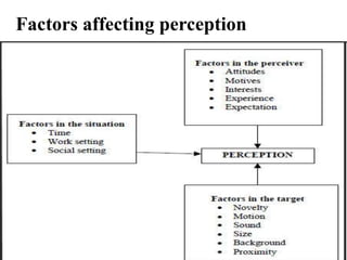 perception.pptx