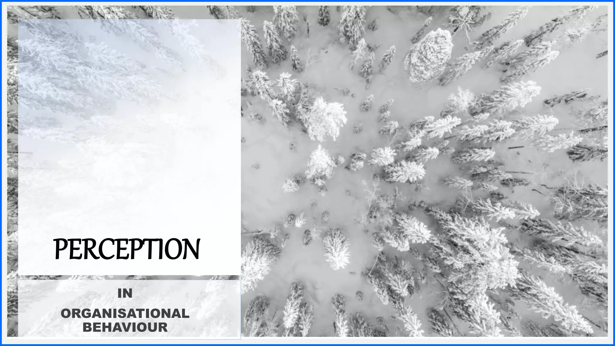 Perception - Organisational Behaviour | PPTX | Technology & Computing