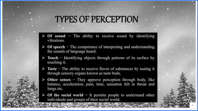 Perception - Organisational Behaviour | PPTX | Technology & Computing