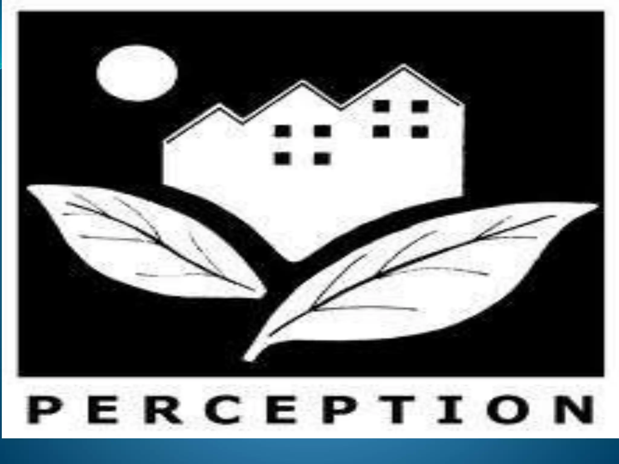 PERCEPTION IN OB | PPTX