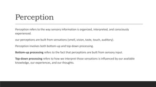perception .pptx