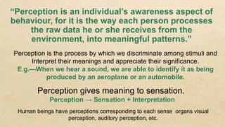 PERCEPTION.pptx