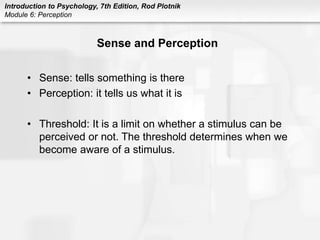 perception.pptx