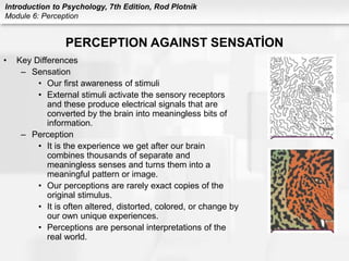 perception.pptx