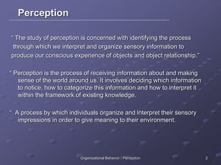 perception.ppt