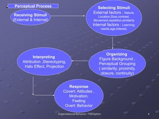 perception.ppt