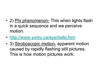 perception.ppt