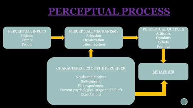 PERCEPTION BBA NOTES PDF PRESENTATION. | PPT