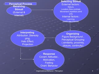 perception in psychology by distinguishef professor.pptx
