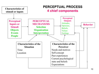 Perception easy explanation for beginners | PPT
