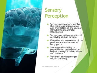 PERCEPTION AND COORDINATION | PPTX