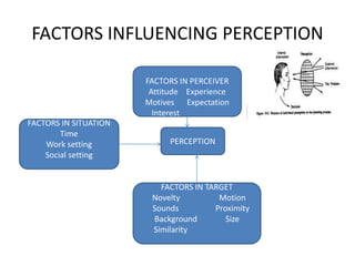 Perception mod. | PPT