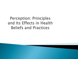 Perception principle and application | PPTX