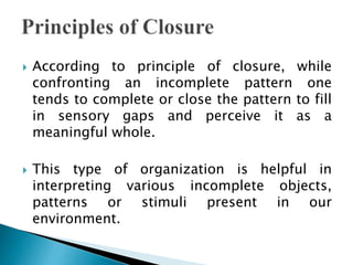 Perception principle and application | PPTX