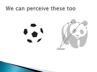 Perception principle and application | PPTX