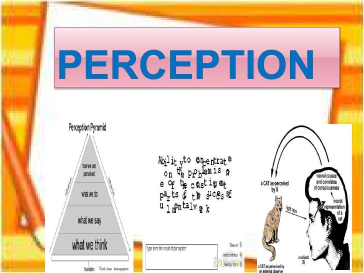 Perception psychology2010-b1