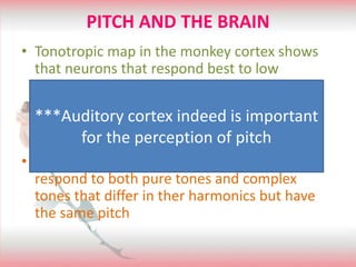 Perception- Auditory | PPTX