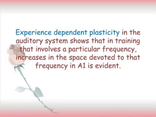 Perception- Auditory | PPTX